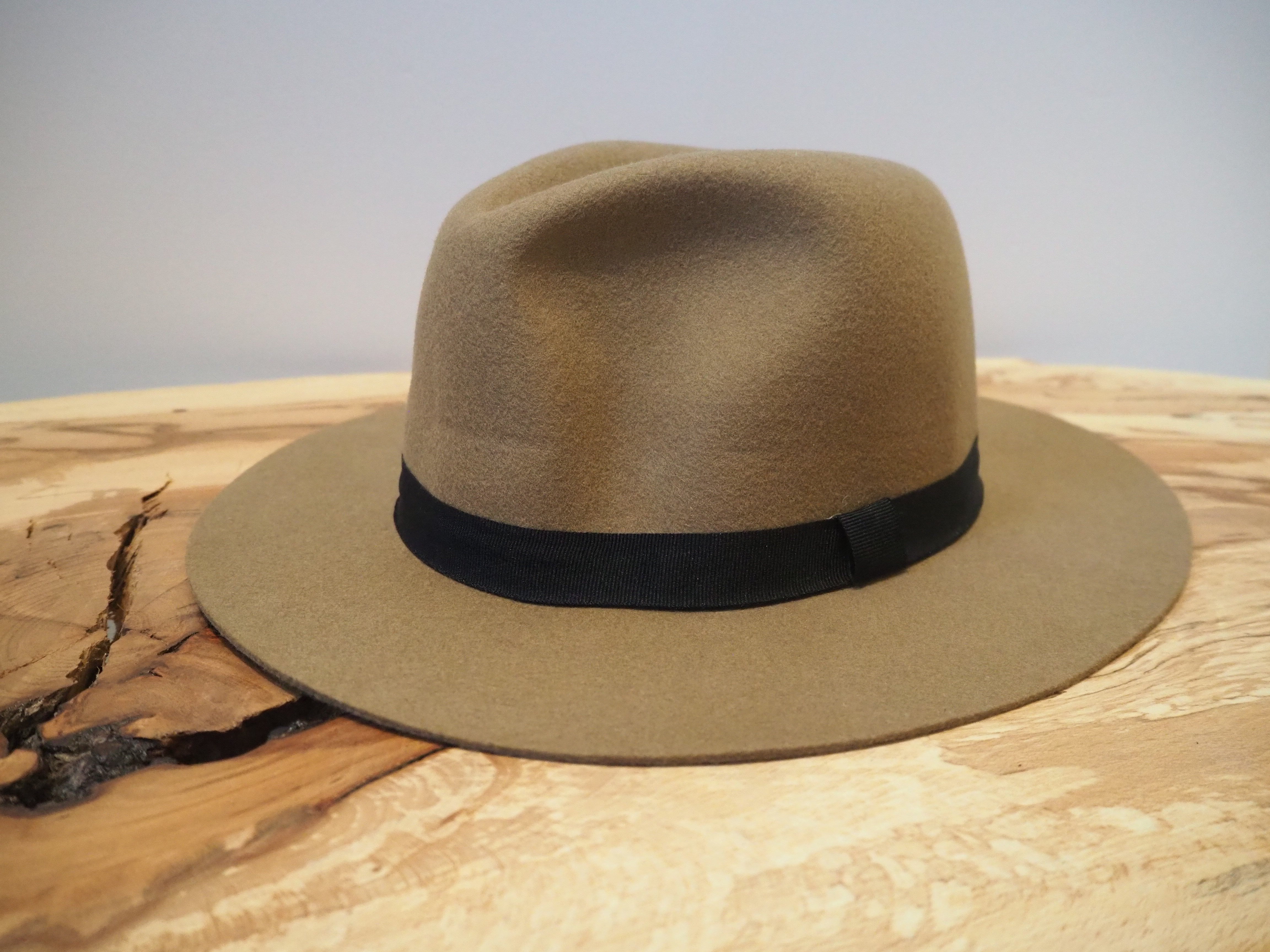 H&M Camel Fedora with black trim – The Wardrobe